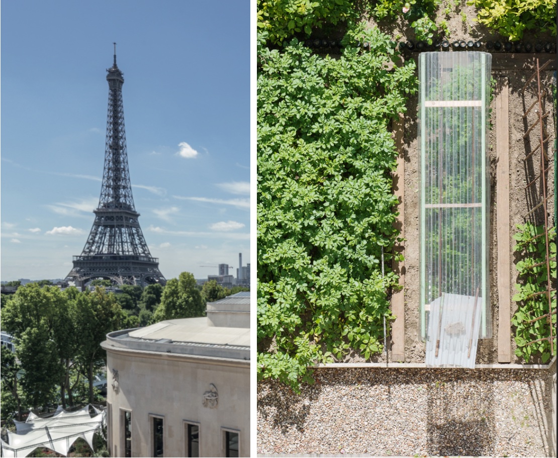 Aleksandr Savchuk Foundation – Association ALEKSANDR SAVCHUK pour la Lutte Contre le Cancer