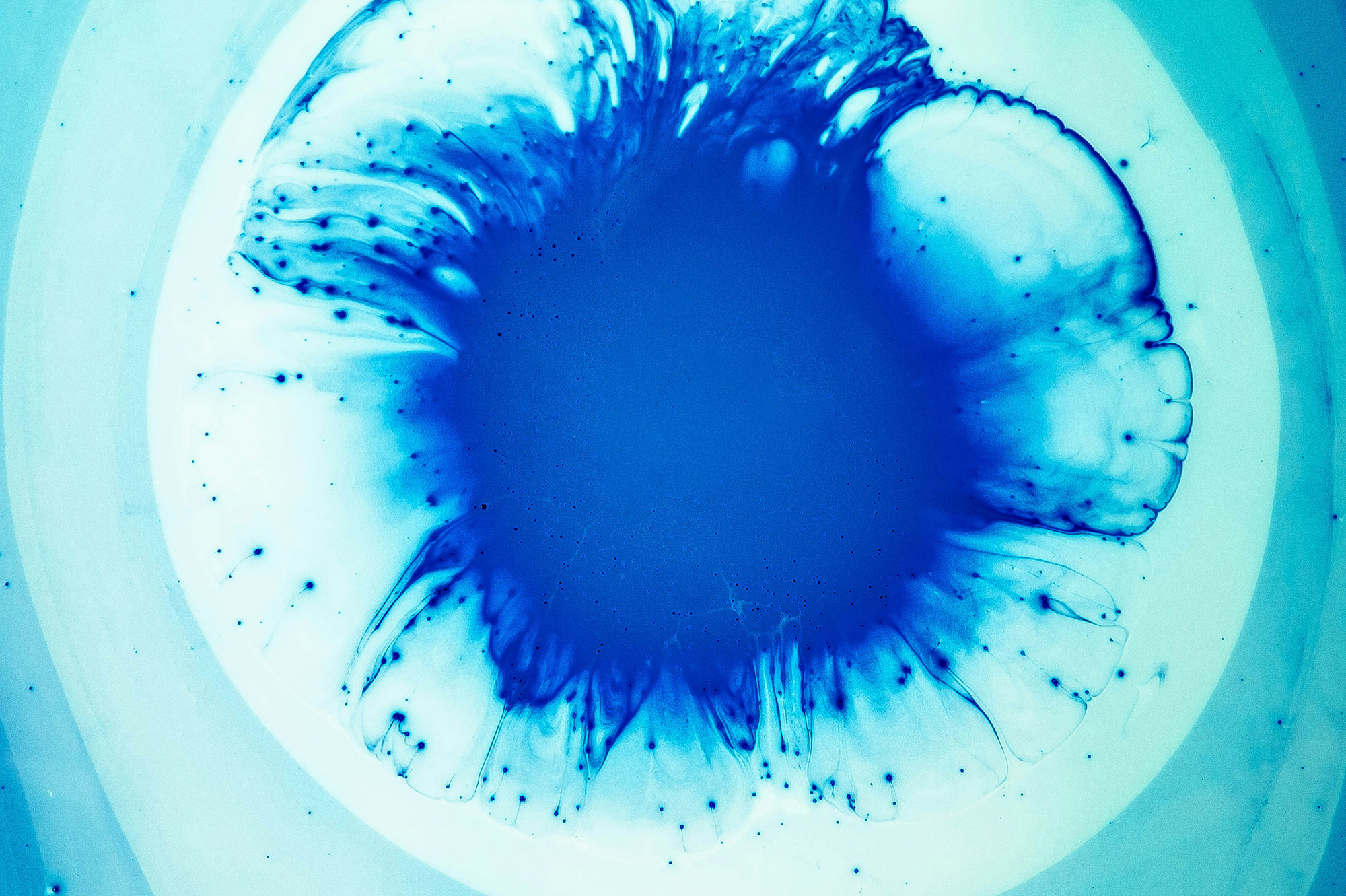 Educational Projects | Aleksandr Savchuk Cancer Charity